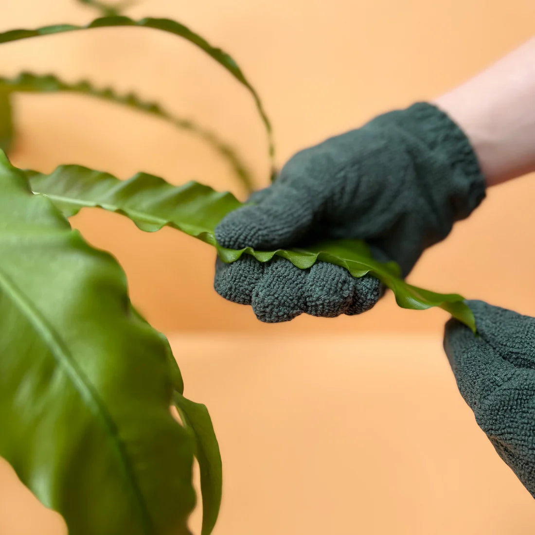 Leaf Cleaning Gloves – Found in Earth - Deloraine Floristry